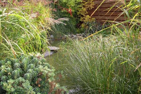 Gallery Categories Biotopes - Maillefer Paysagiste SA - Genève