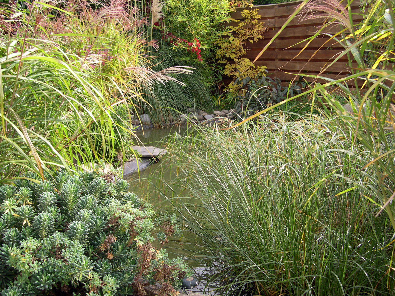 Réalisation de biotopes - Maillefer Paysagiste SA - Genève